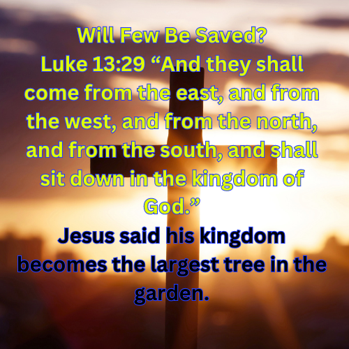 Will Few Be Saved? Jesus Said Many Would Be Saved. - Go Deeper Bible Study